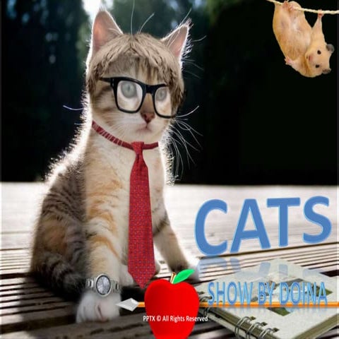 Cats | PPTX