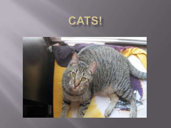 Devocalization | PDF