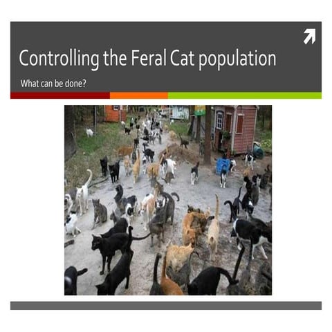 Wildlife Society Fact Sheet Effects of Invasive Species Domestic Cats | PDF