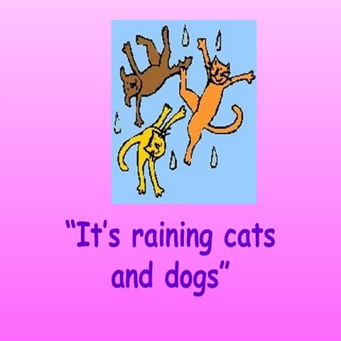 Cats And Dogs | PPT | Pets