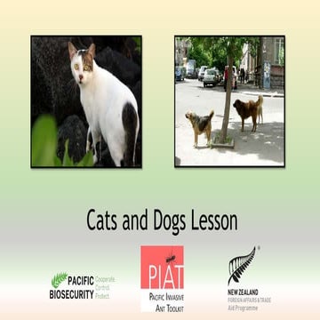 Cats and Dogs Powerpoint - Yeaasdsadasr 6.pptx