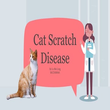 Cat Scratch Disease | PPTX