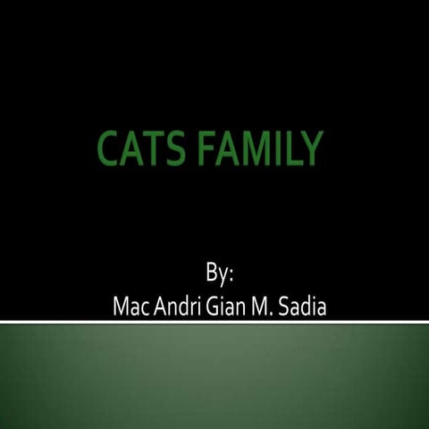 Cats family | PPTX