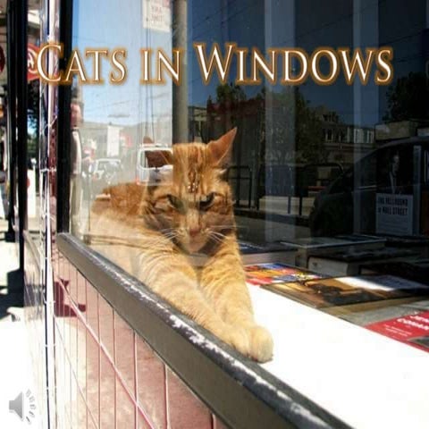 Cats in windows (v.m.) | PPT