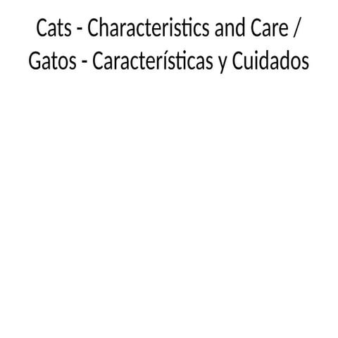 Cats | PPT