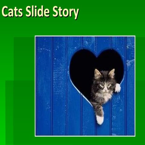135-Cats Slide Story | PPT