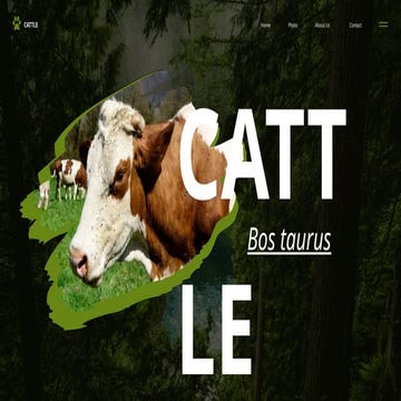 Cattle (Bos Taurus) Cattle, scientifically known as Bos taurus, are ...