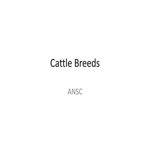 Cattle Breeds Review | PPT