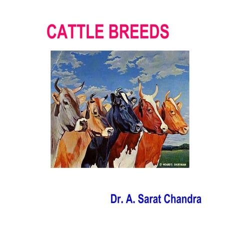 Cattle Breeds LPM.ppt