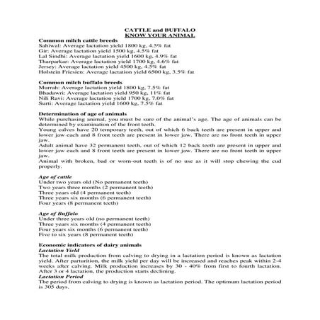 Cattle buffalo | PDF | Large Animals | Pets