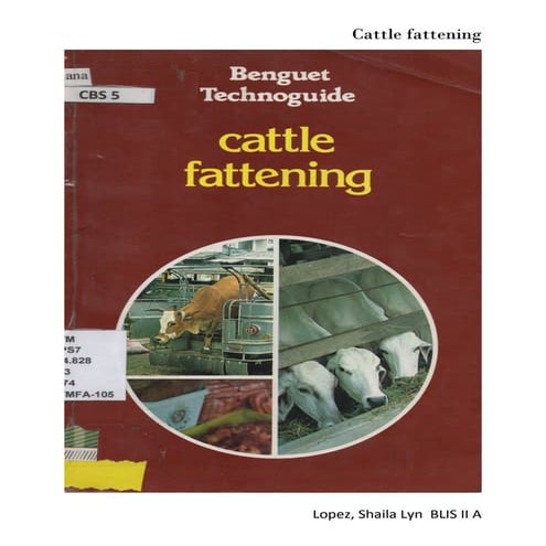 Cattle fattening | PDF