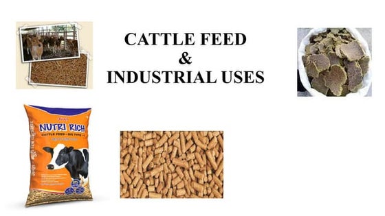 Unit 16 Classification of feed stuff.pptx