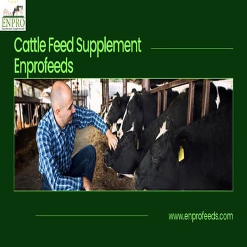 Cattle Feed Supplements – Enprofeeds.pdf