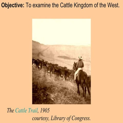 Cattle kingdom | PPT