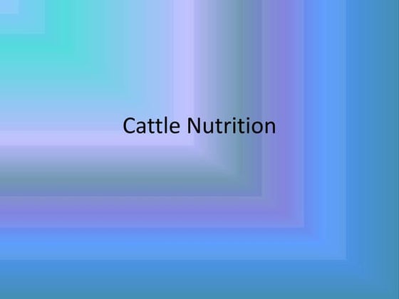 Feeding of high yielder dairy cows | PPT