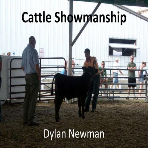 Cattle showmanship | PPTX
