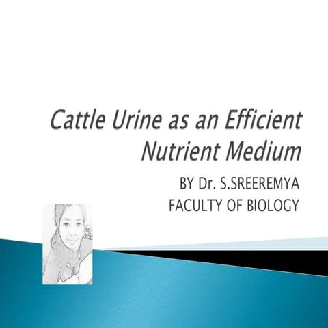 Cattle urine as an efficient nutrient medium | PPTX