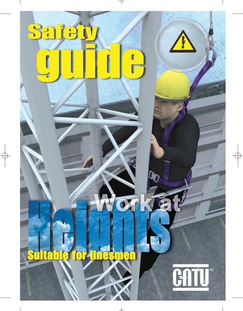 Rope suspended platform- Safety | PPT