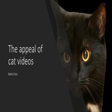 The Appeal of Cat Videos | PPT