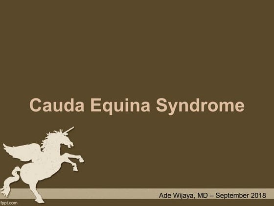 Cauda Equina Syndrome | PPT | Brain and Nervous System Disorders ...