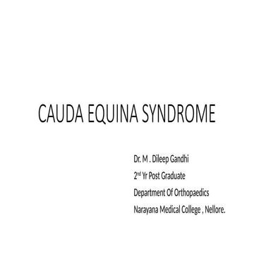 cauda equina syndrome diagnosis treatment ppt.pptx