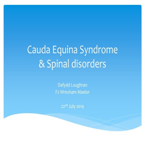 Cauda equina syndrome - Dafydd Loughran | PPTX