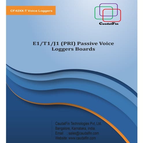 Asterisk Passive Voice Loggers | PDF