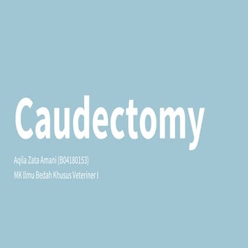 Caudectomy PPT_Aqila Zata Amani_B04180153.pdf