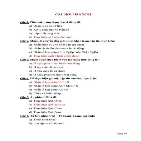 Cau hoi ms_excel | PDF