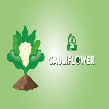 Cauliflower.pdf