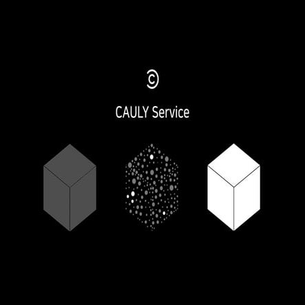 Cauly_Service_v1.2_EN | PDF