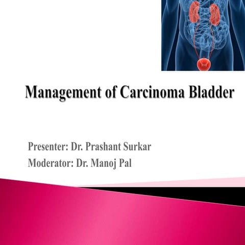 Ca urinary bladder management | PPTX