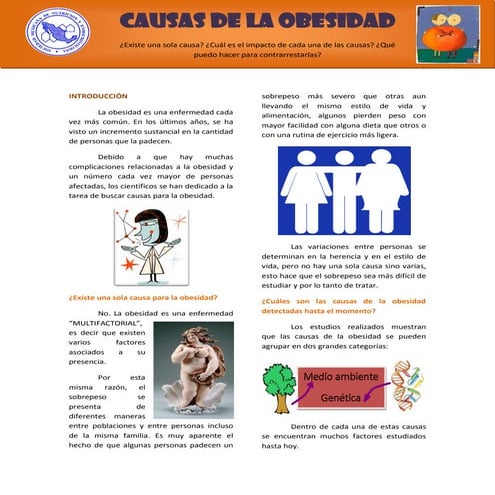 Obesidad en mexico tratamiento causas y caracteristicas, relacion entre ...