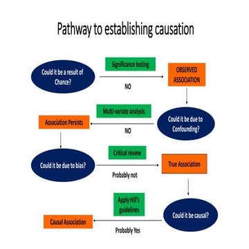 causation pathway.pptx