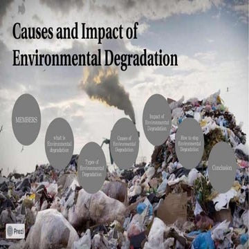 Causes and impact of environmental degradation | PPT