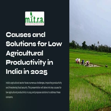 Causes and Solutions for Low Agricultural Productivity in India in 2025.pdf