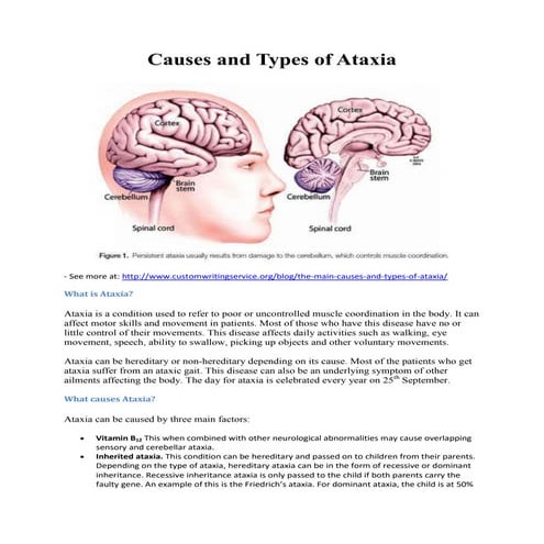Causes and types of ataxia | PDF | Brain and Nervous System Disorders ...