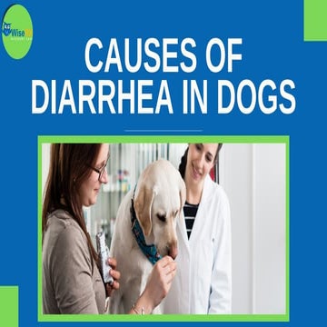 Causes of Diarrhea in Dogs.pdf