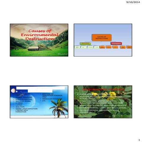 Causes of environmental destruction | PDF