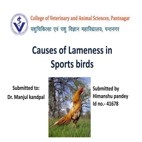 Causes of lameness in sport birds | PPTX
