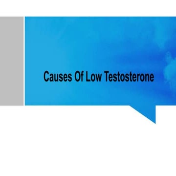 Causes Of Low Testosterone | PPT