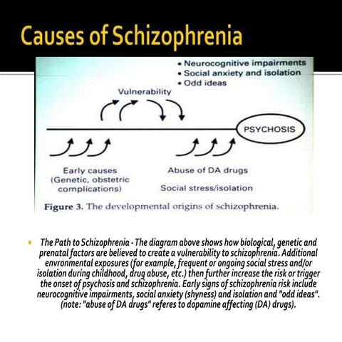 Causes of schizophrenia | PPTX