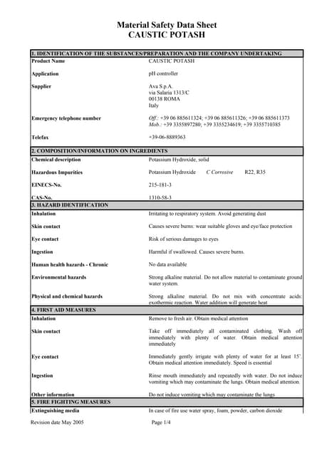 CIP 100 MSDS EN.pdf | First Aid | Injuries