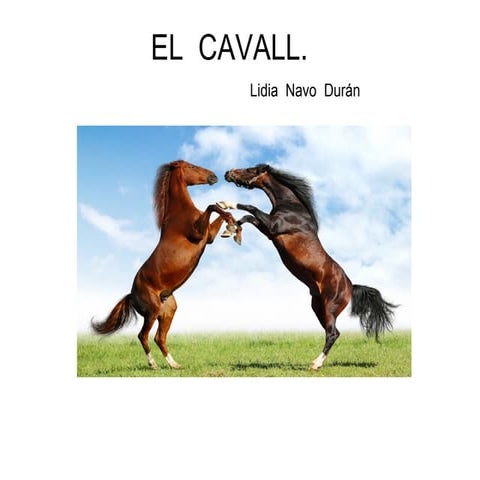 Cavall | PPT