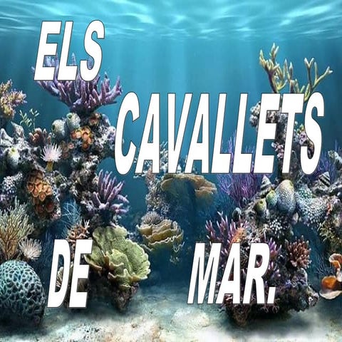 Nos movemos con el caballito de mar | PDF