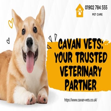 Cavan Vets Your Trusted Veterinary Partner.pdf
