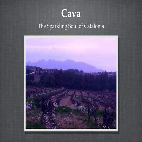 Cava presentation for Culinary Inst of America | PPT