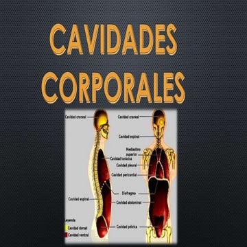 CAVIDADES CORPORALES | PPTX