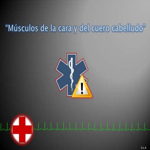 Musculos de la cara y de cuero cabelludo | PPSX