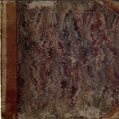 Caw Caw Chronicle | PDF